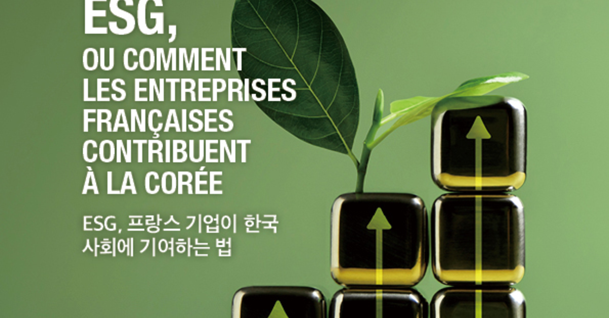 ESG, ou comment les entreprises françaises contribuent à la Corée | CCI ...